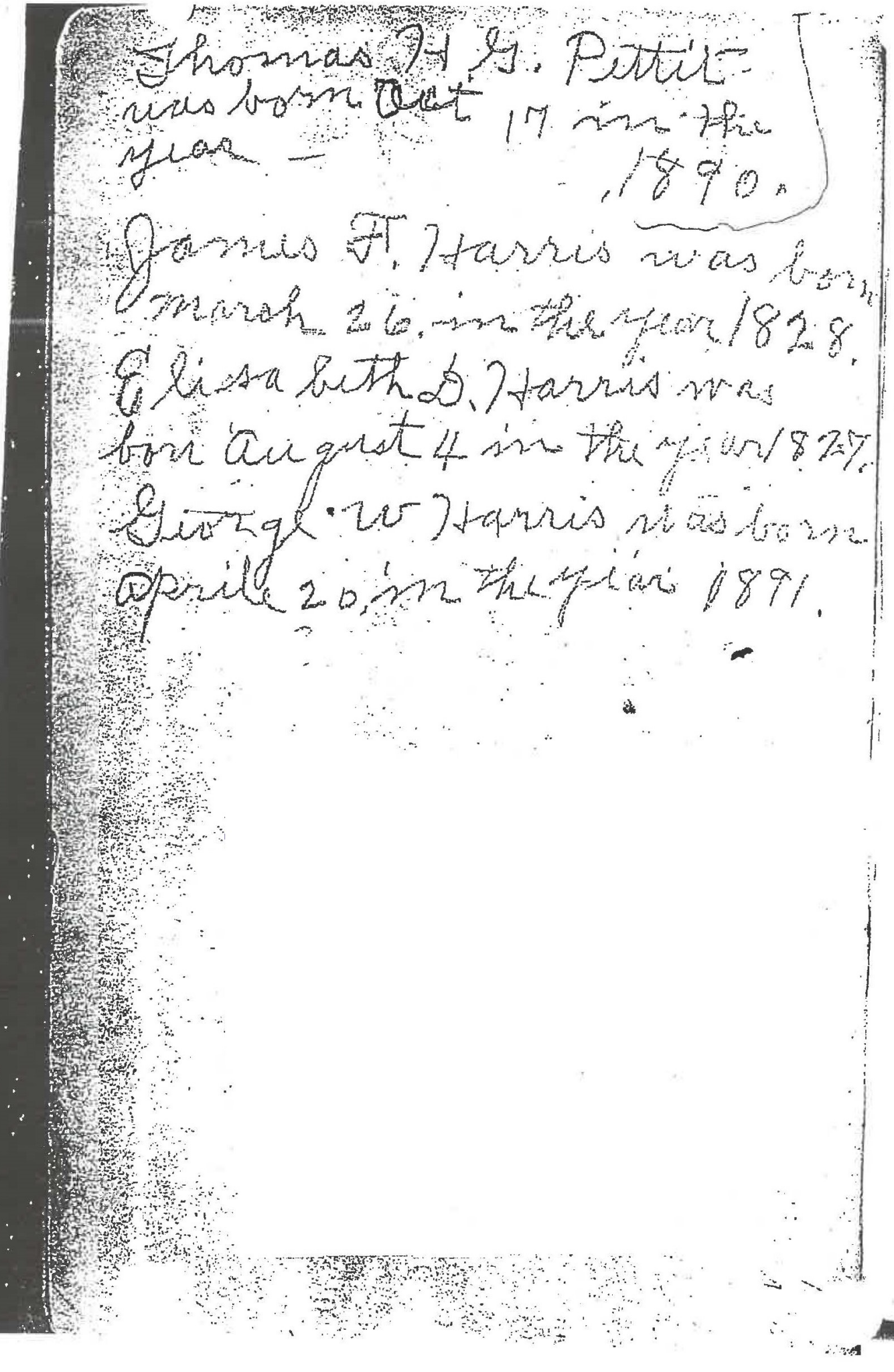 William H Pettit and John W Pettit Family Bible -Gilmer County, GA